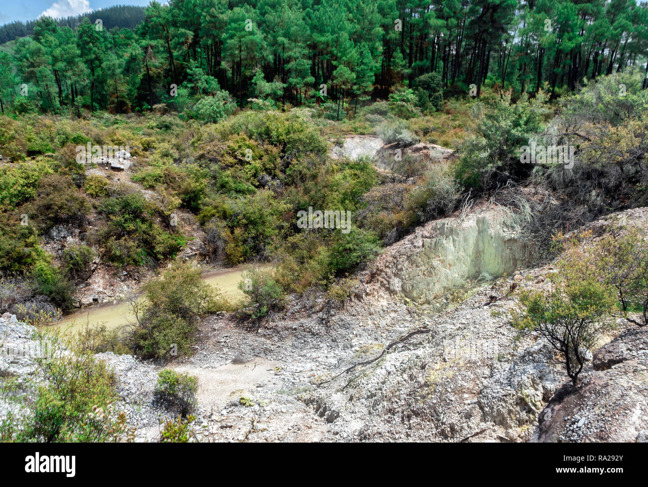 Waiotapu Thermal Wonderland - New Zealand Stock Photo - Alamy