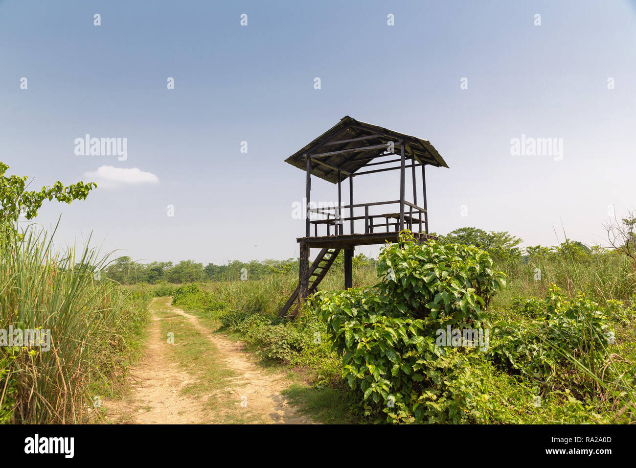 Tall viewing and resting platform in the center of Chitwan National ...