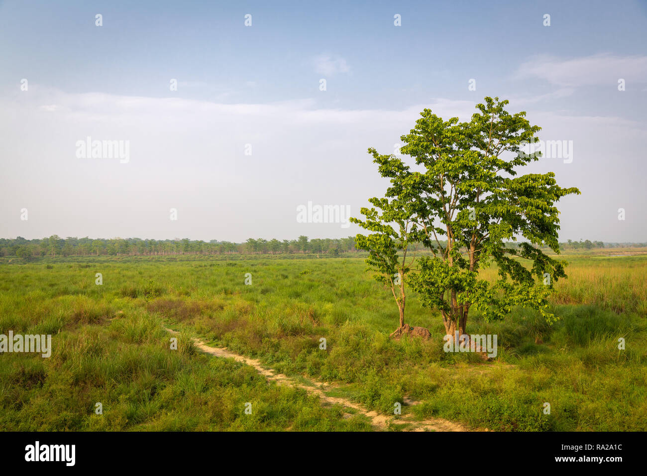 Terai plains hi-res stock photography and images - Alamy