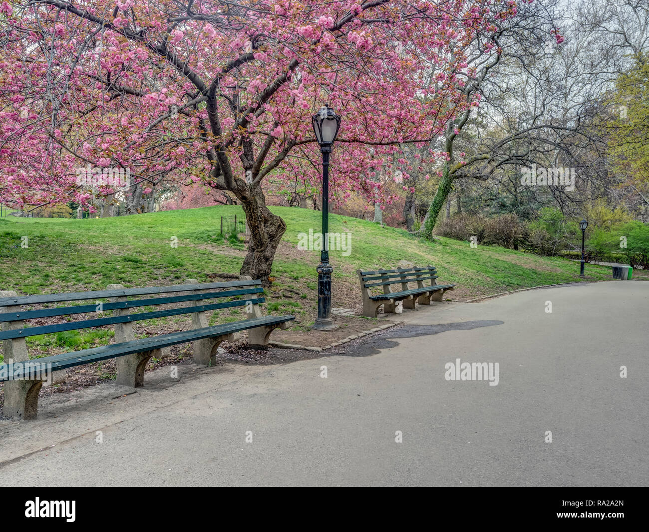Sponge park new york hi-res stock photography and images - Alamy