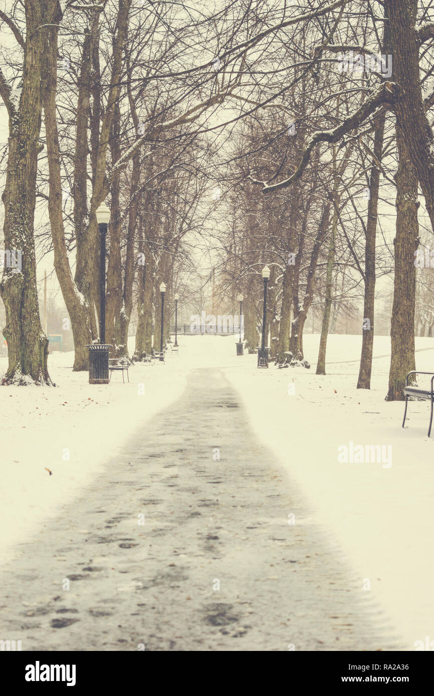 Pathway lights hi-res stock photography and images - Alamy