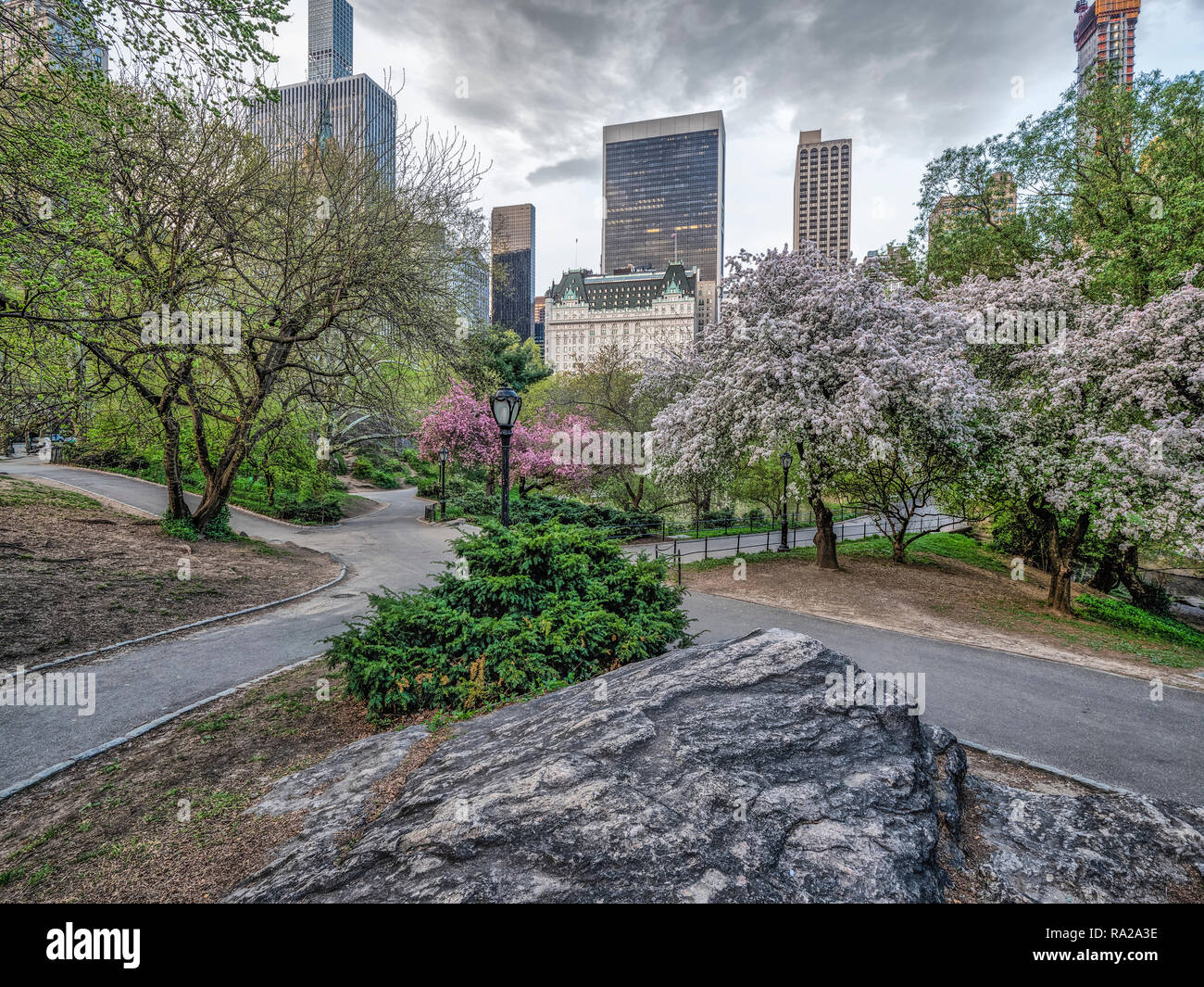 Central Park, Manhattan, New York City in spring Stock Photo - Alamy