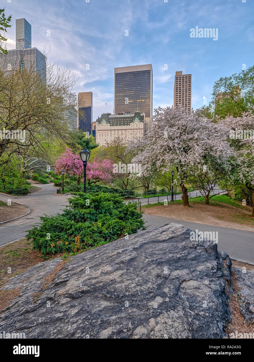 Central Park, Manhattan, New York City in spring Stock Photo - Alamy