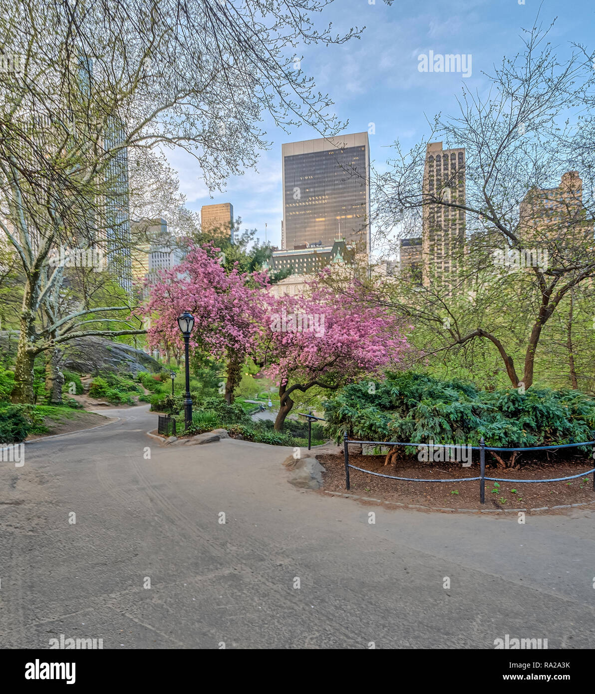 Central Park, Manhattan, New York City in spring Stock Photo - Alamy