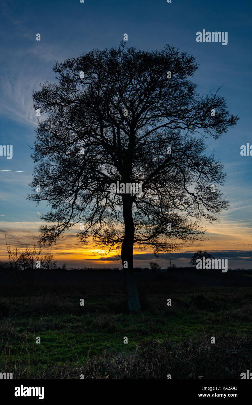 Hollingbourne kent hi-res stock photography and images - Alamy
