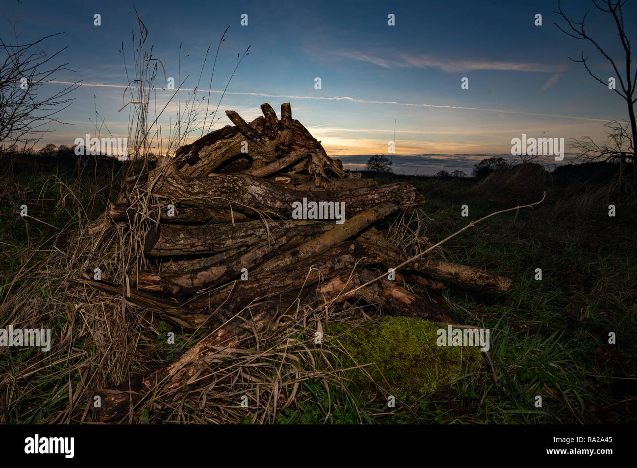 Kent Meadows High Resolution Stock Photography and Images - Alamy