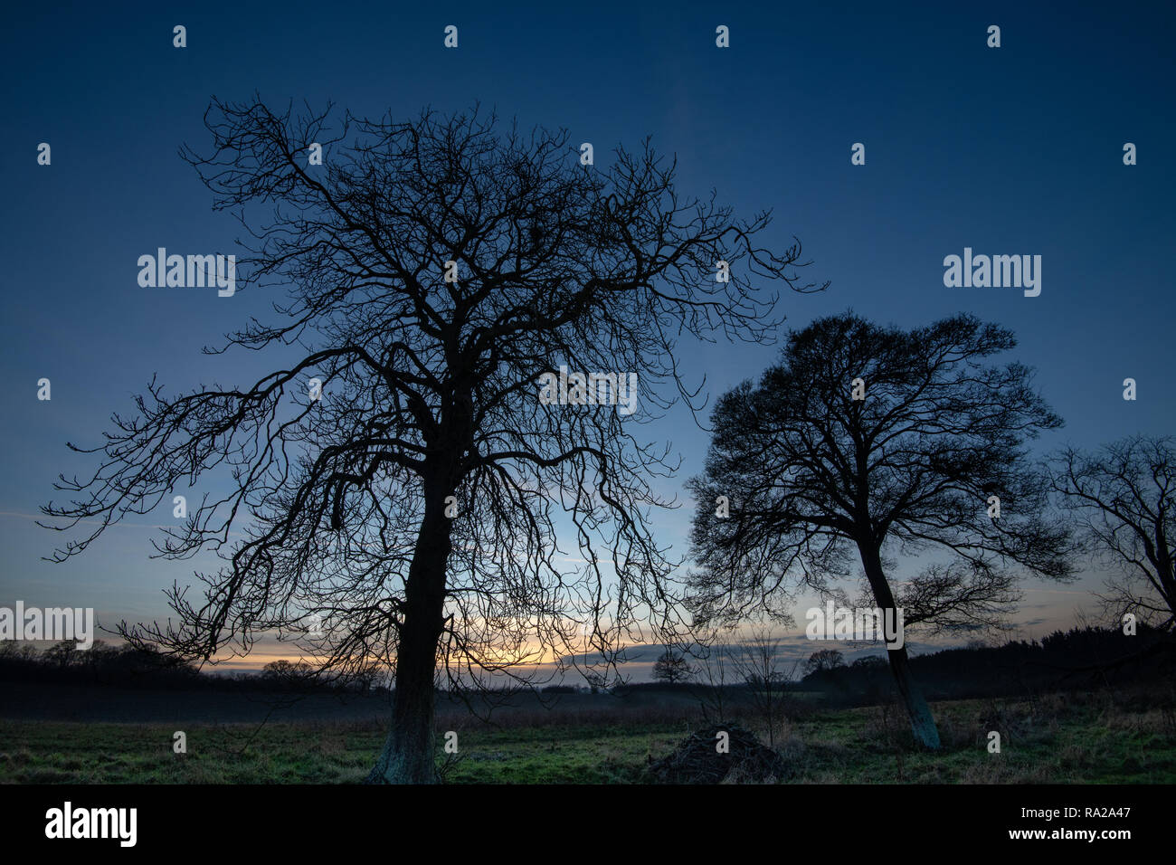 Sunset Hollingbourne Meadows Trust, Holllingbourne, Maidstone Kent ...