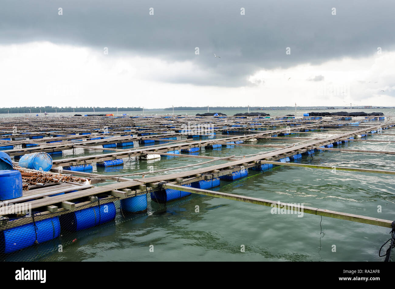 Offshore ocean open water fish farm in the tropics - Fish Farm in Asia ...
