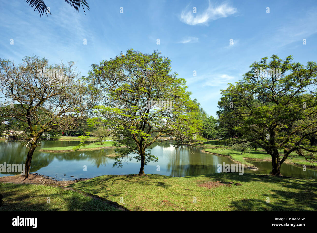 Charming view of Taman Tasik in Taiping, Perak, Malaysia - A charming ...
