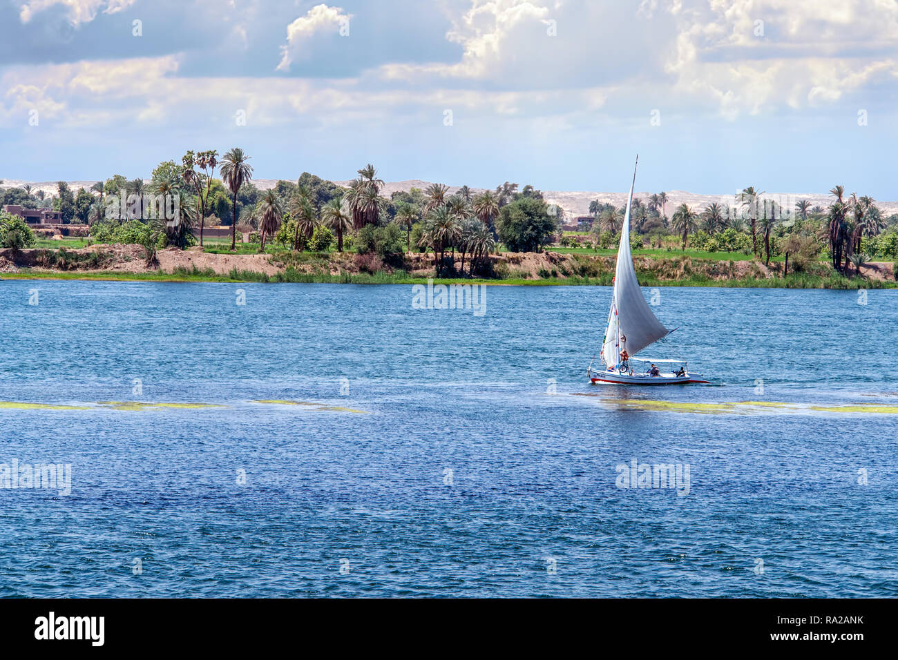 Felucca sailing along the Nile River - Egypt Stock Photo - Alamy