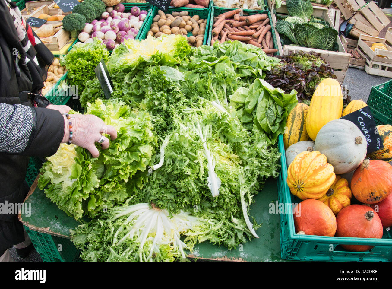 Buy winter vegetables woman hi-res stock photography and images - Alamy