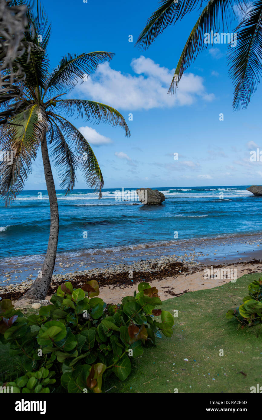 Bathsheba Beach Barbados Stock Photo - Alamy