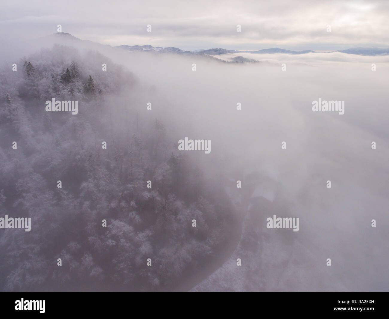 Aerial photo of thick fog covering the forest hill in early morning ...