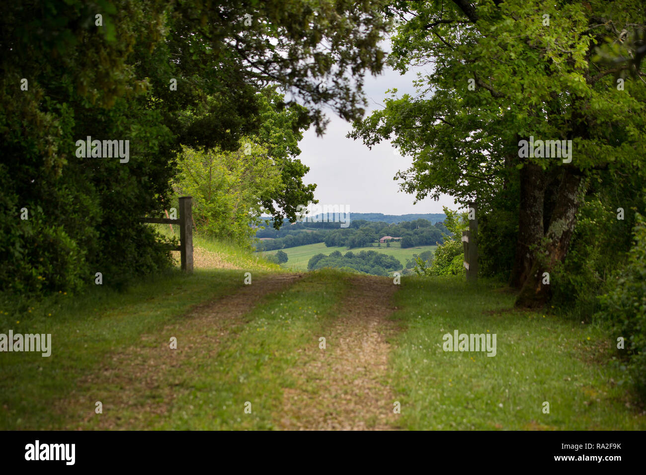 View through gate across Gers countryside Stock Photo - Alamy