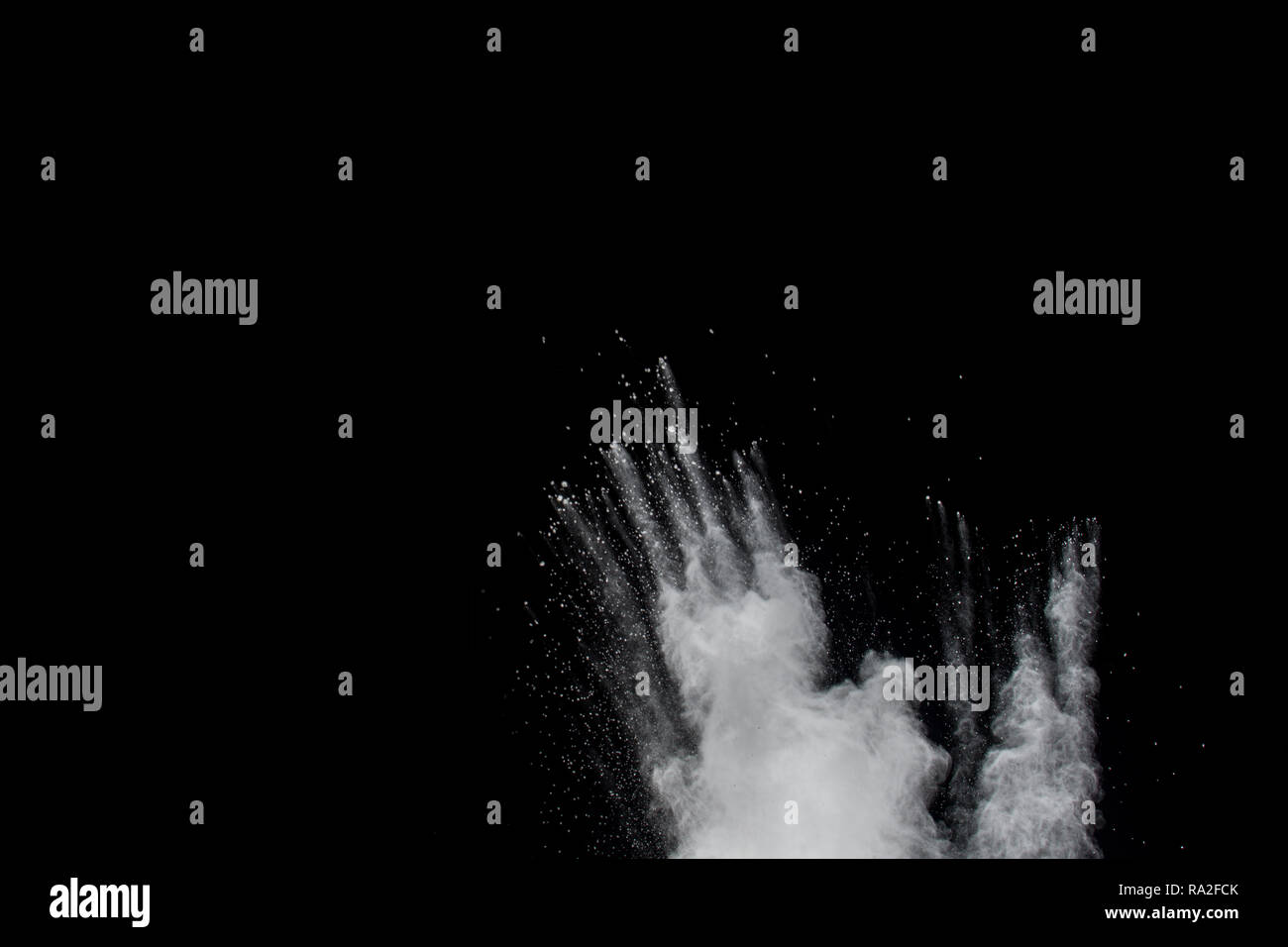 White talcume powder explosion on black background. White dust ...