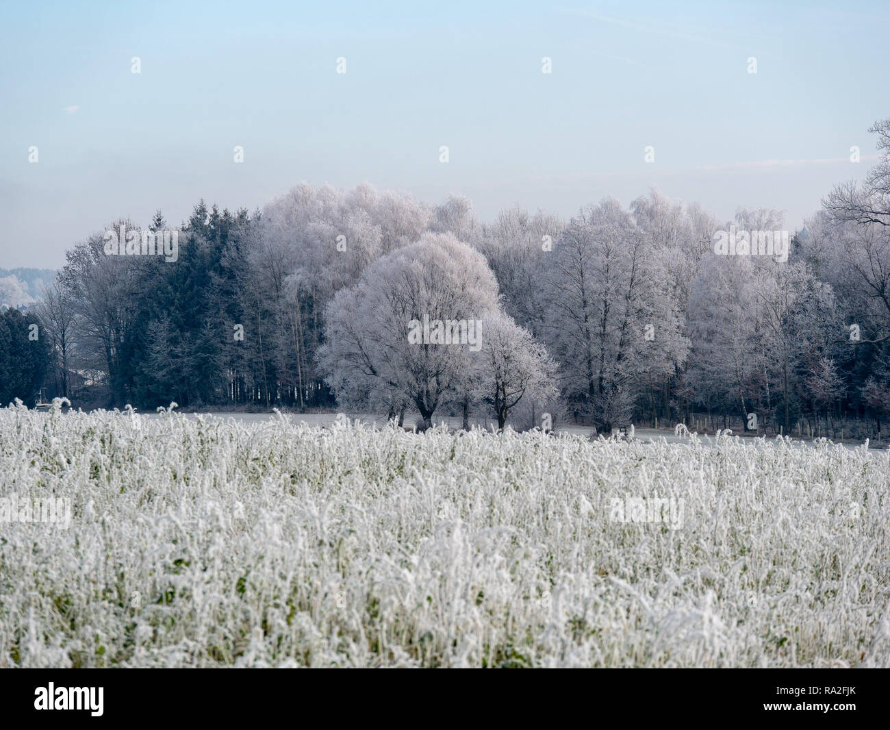 Image of romantic winter landscape after the first snow in December ...