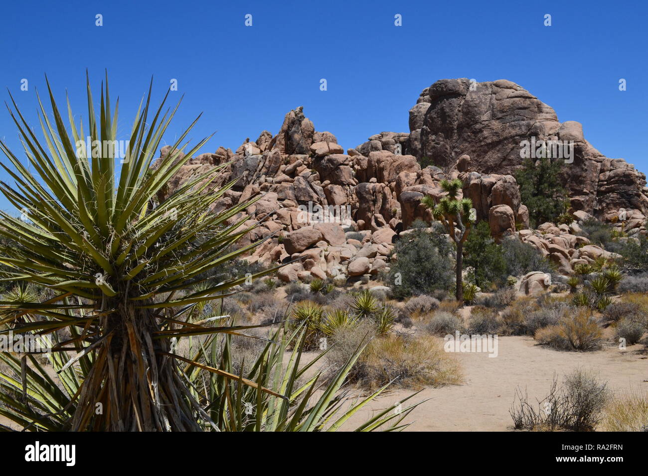 Monzogranite rock pile hi-res stock photography and images - Alamy