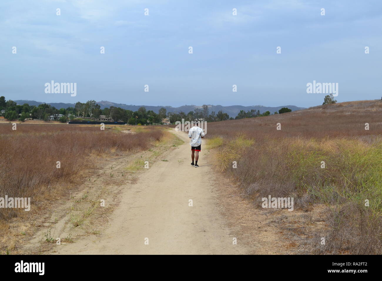 Rewilded land hi-res stock photography and images - Alamy