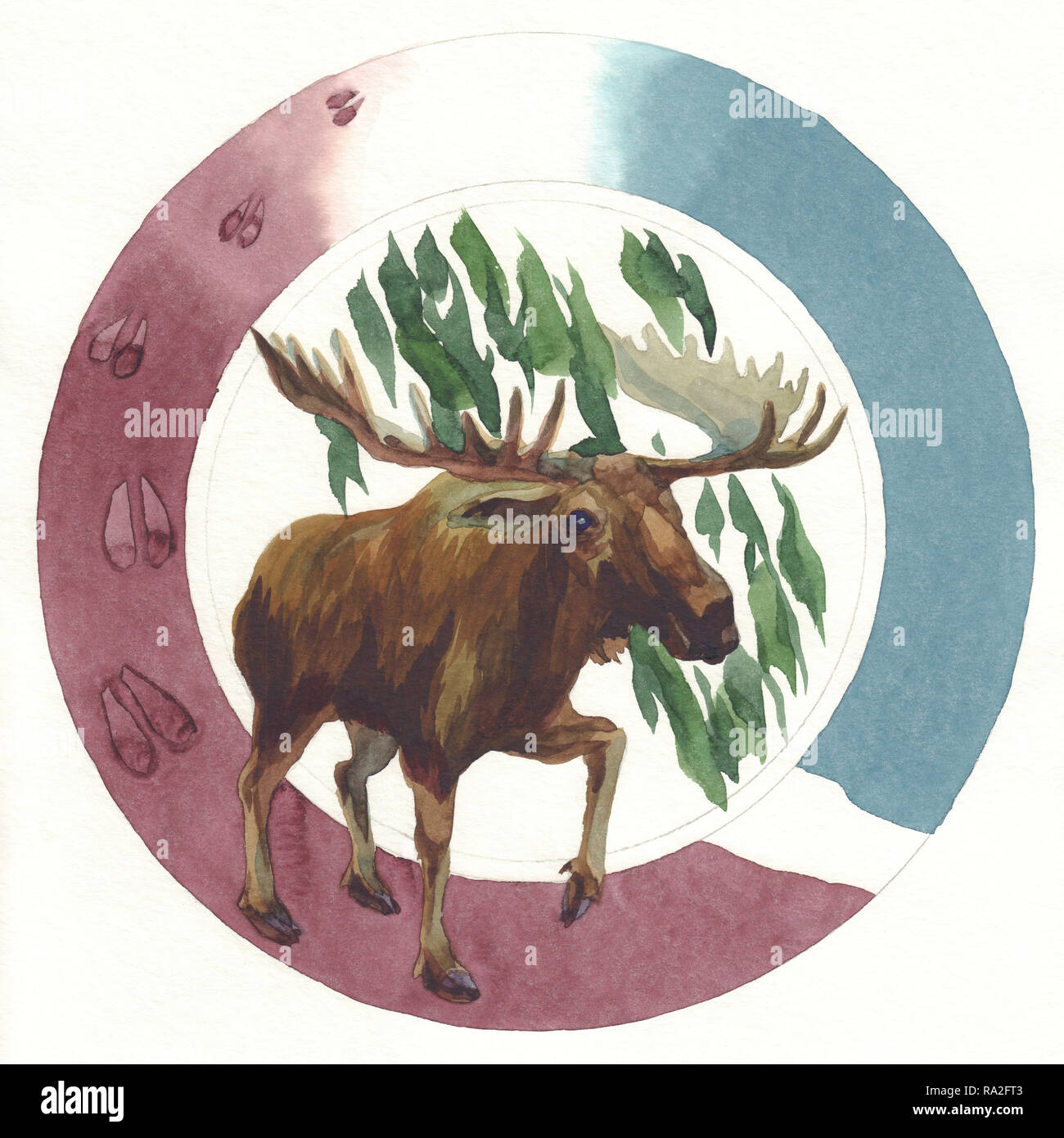 Watercolor painted moose on a multicolored round background Stock Photo ...
