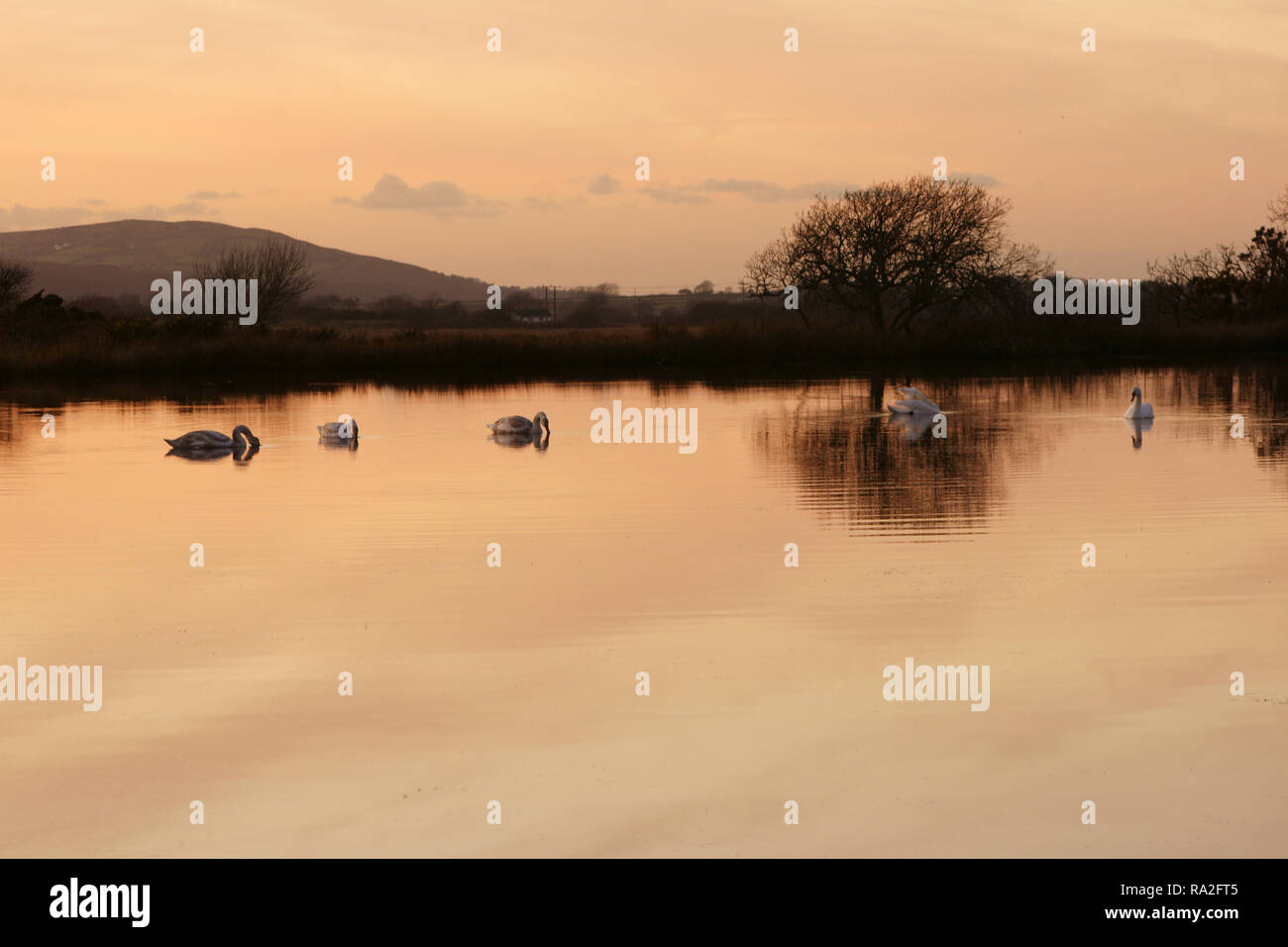 Gower peninsula sunset wales uk hi-res stock photography and images - Alamy