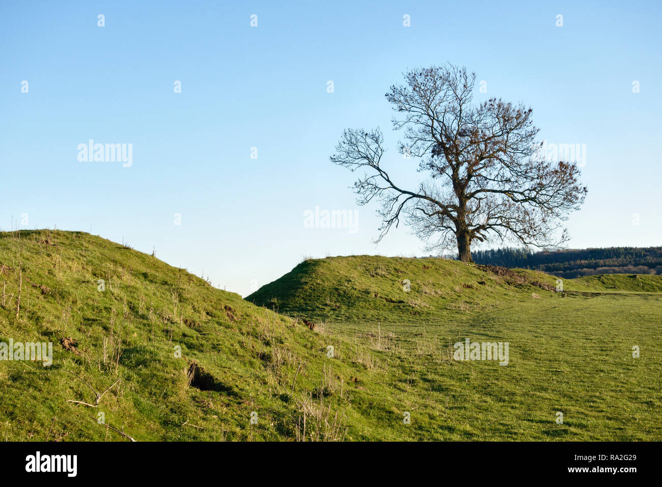 Leintwardine, Herefordshire, UK. The vallum (earth rampart) around the ...