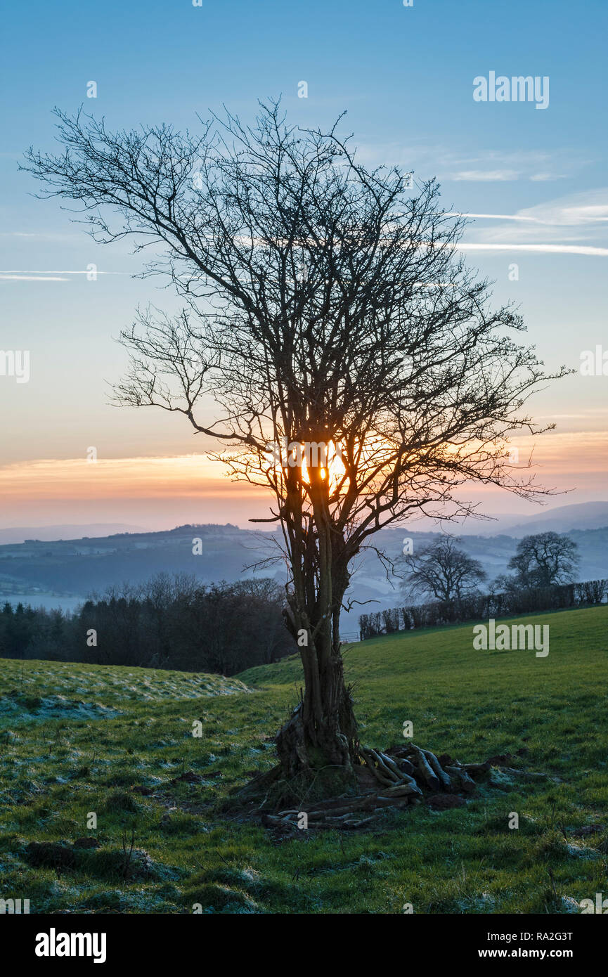 Winter on Stonewall Hill near Knighton, Powys, UK, on the Welsh borders ...