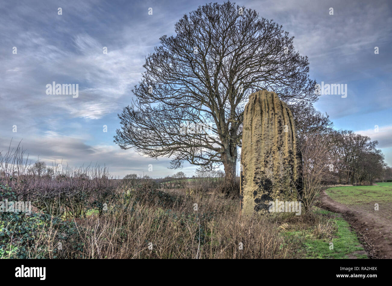 The Devil's Arrows Standing Stones near Boroughbridge, Yorkshire Stock ...
