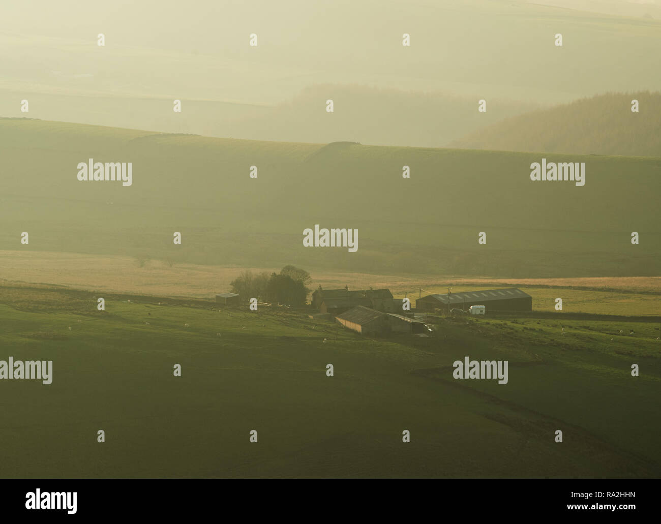 Rural countryside scene of a rolling green field with tree hi-res stock ...