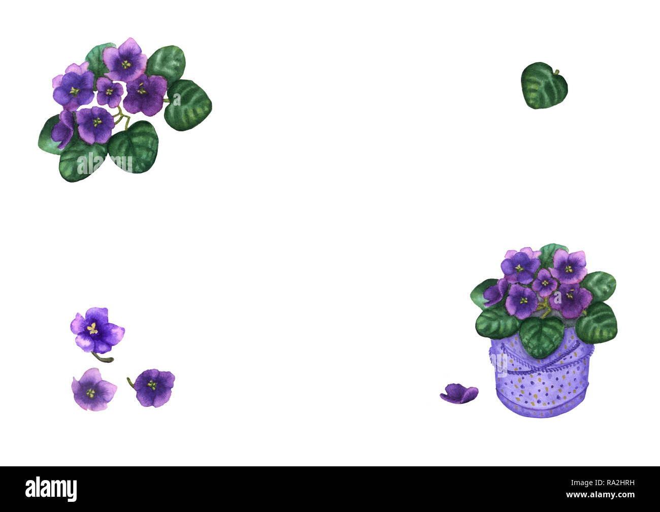 Viola Drawing High Resolution Stock Photography and Images - Alamy