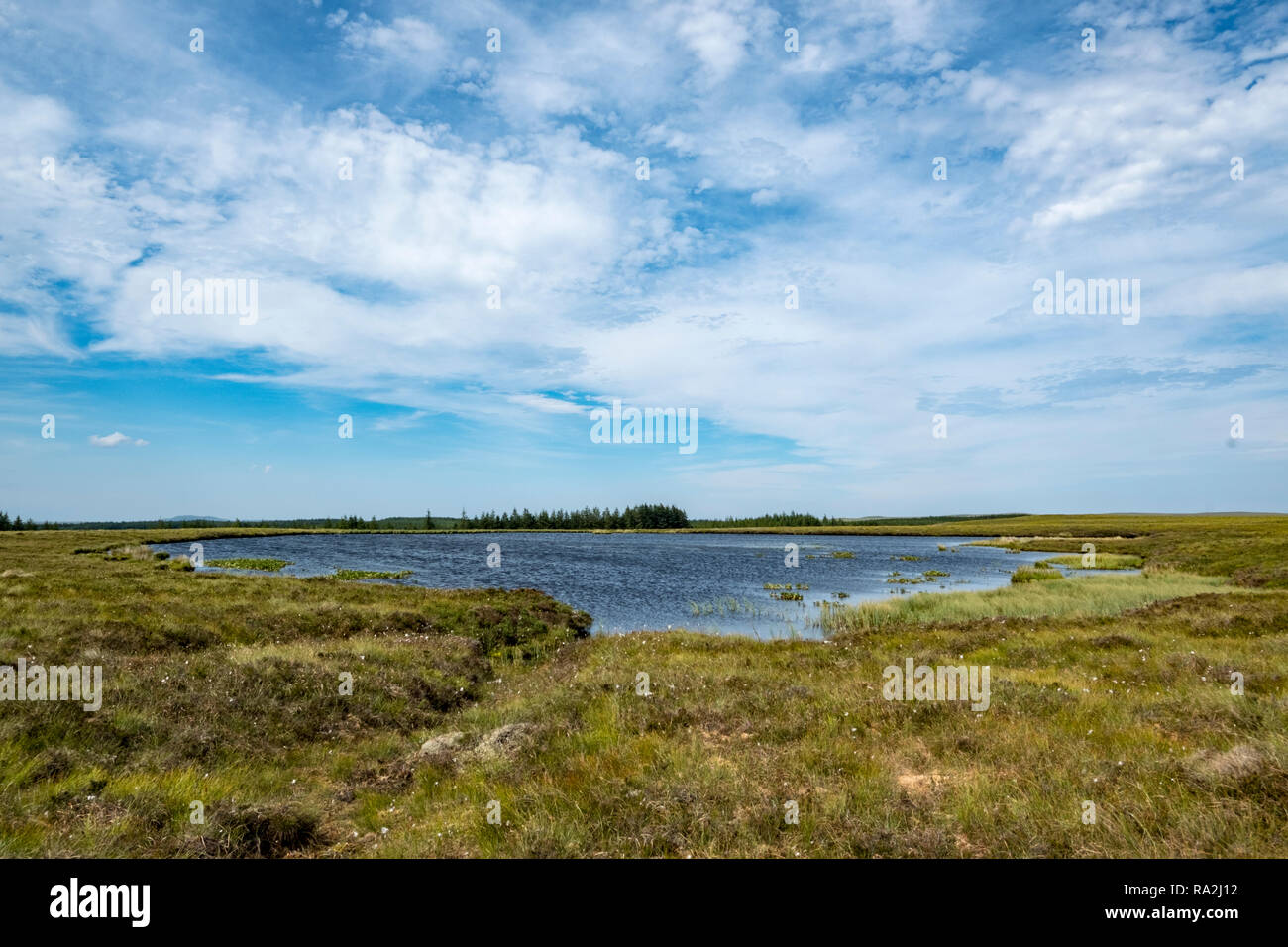 The largest blanket bog and peatland in Europe of Forsinard Flows ...