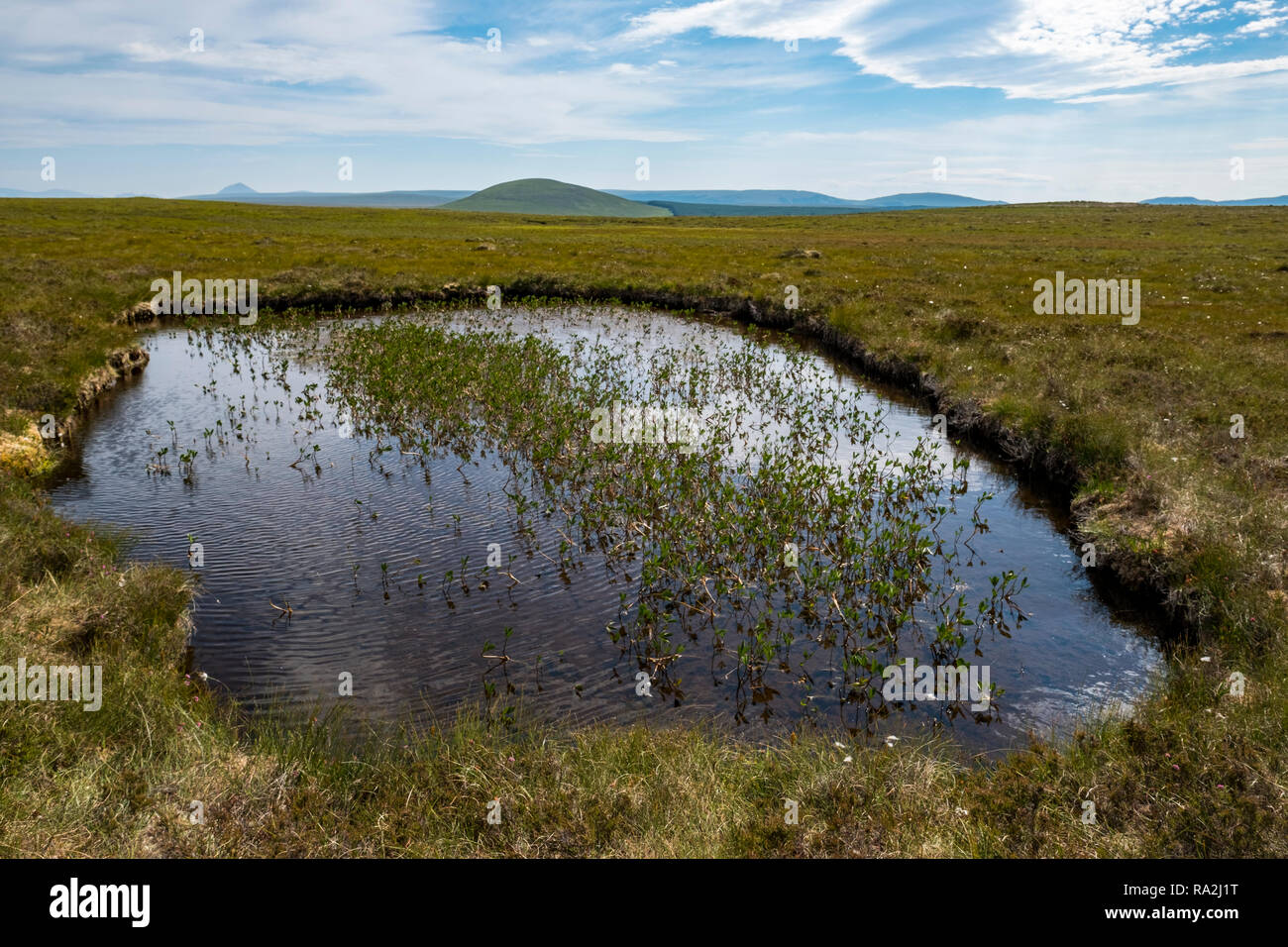 The largest blanket bog and peatland in Europe of Forsinard Flows ...