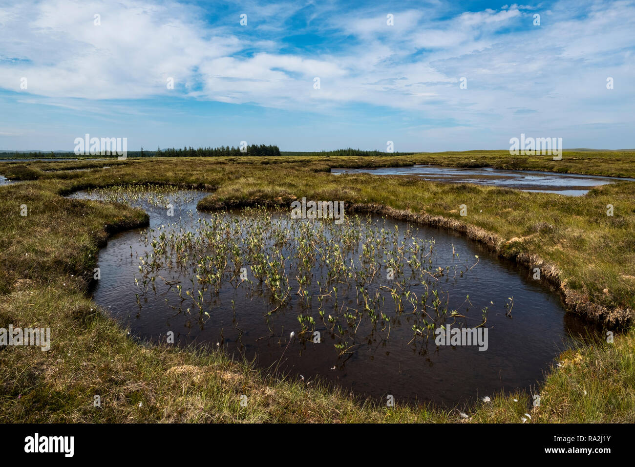 The largest blanket bog and peatland in Europe of Forsinard Flows ...