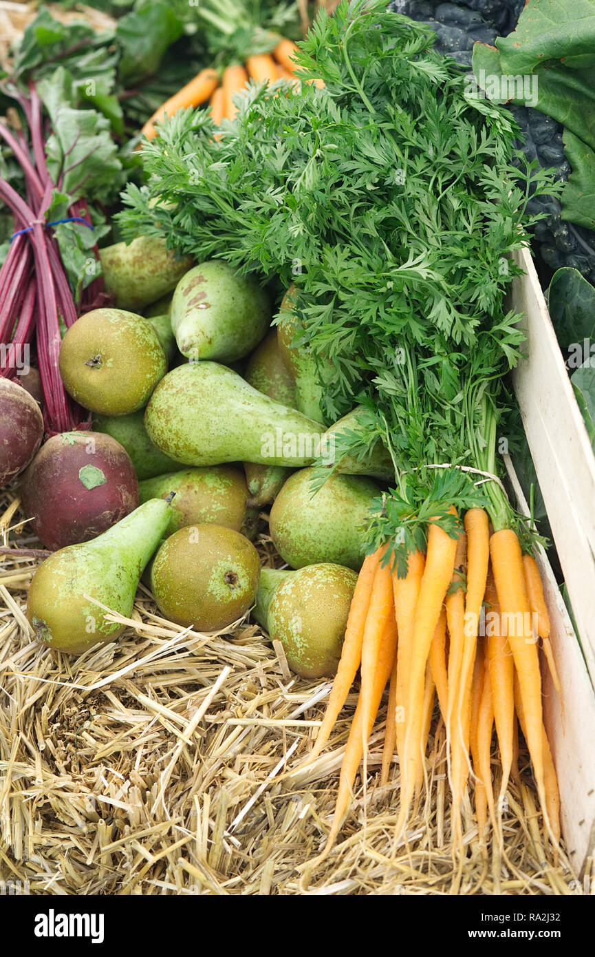 Harvest supper basket full of carrots pears and beetroot Stock Photo ...
