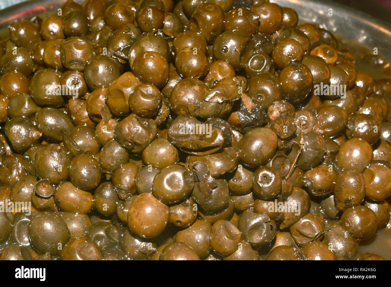 Vitex glabrata R.Br. is an accepted name This name is the accepted name ...