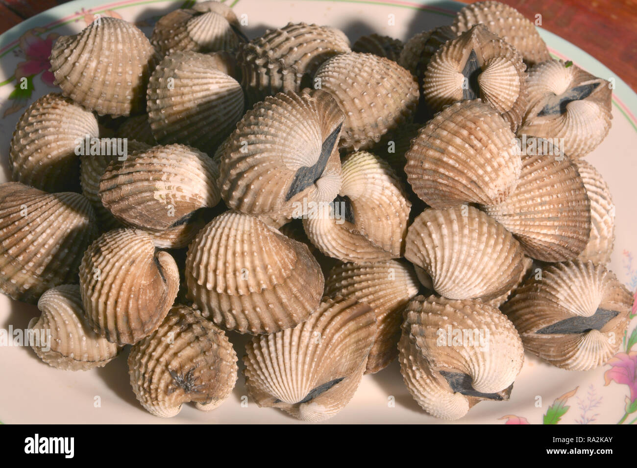 Blood cockle hi-res stock photography and images - Alamy
