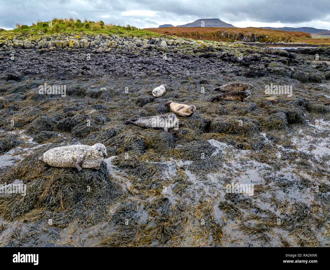 Colony of the united kingdom hi-res stock photography and images - Alamy