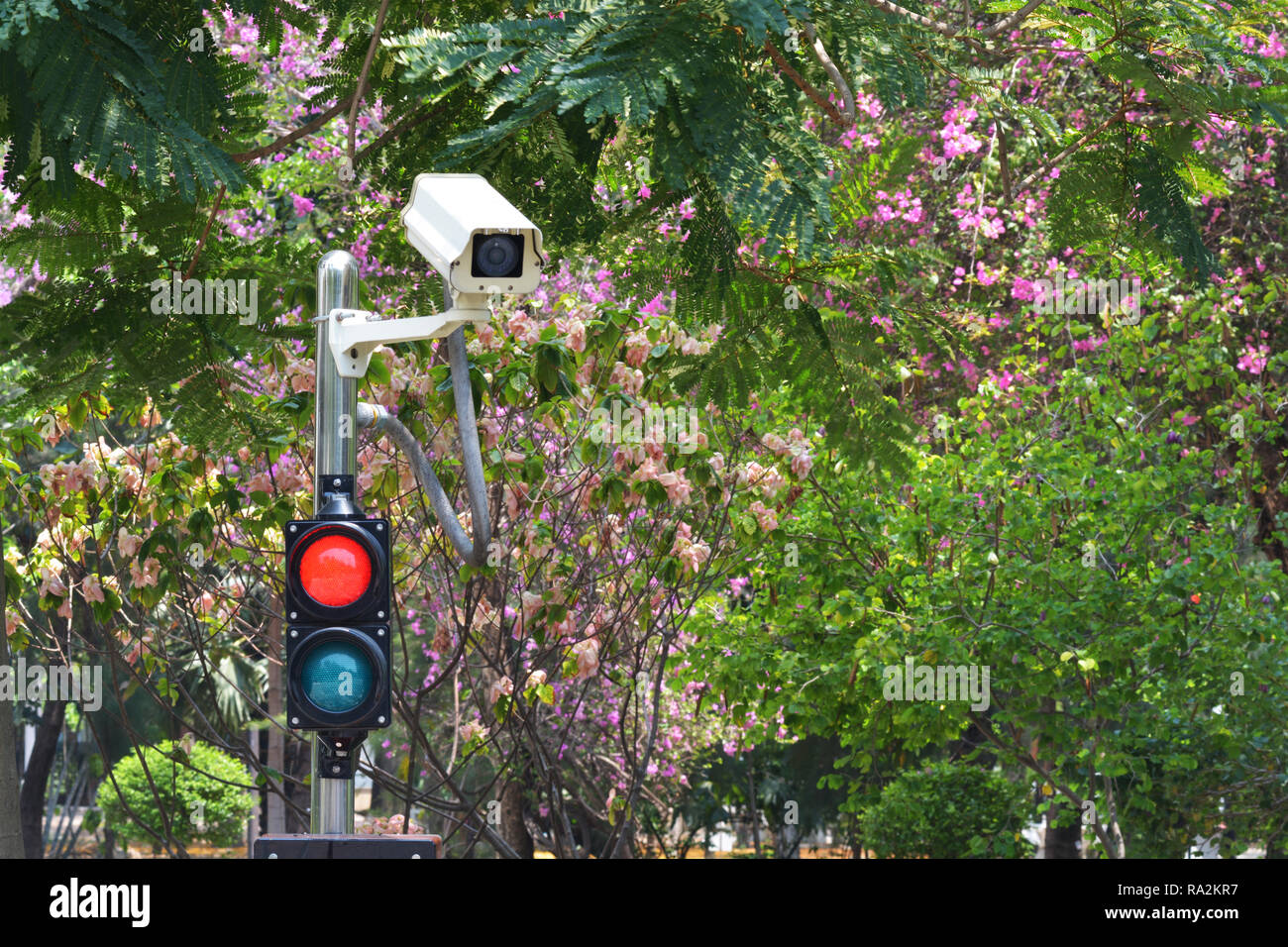 CCTV cameras on the red and green light Stock Photo - Alamy