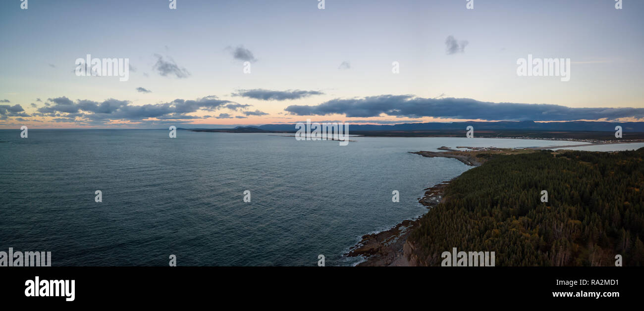 Cow head newfoundland hi-res stock photography and images - Alamy