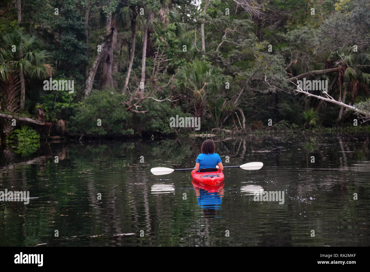 Adventurous girl kayaking on a river covered with trees. Taken in ...