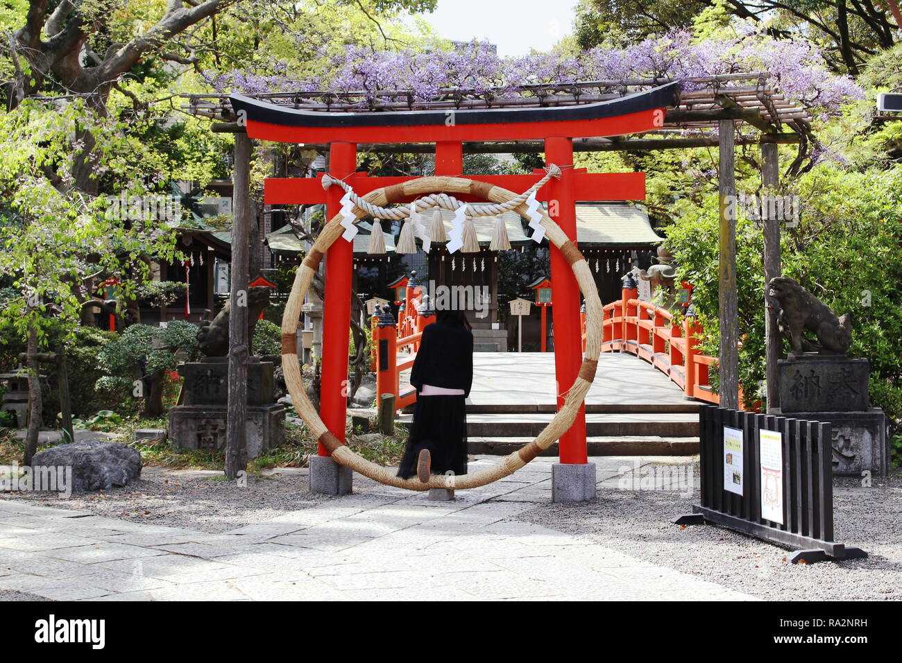 A visitor walks through a Chinowa purification ring in Chiba City's ...