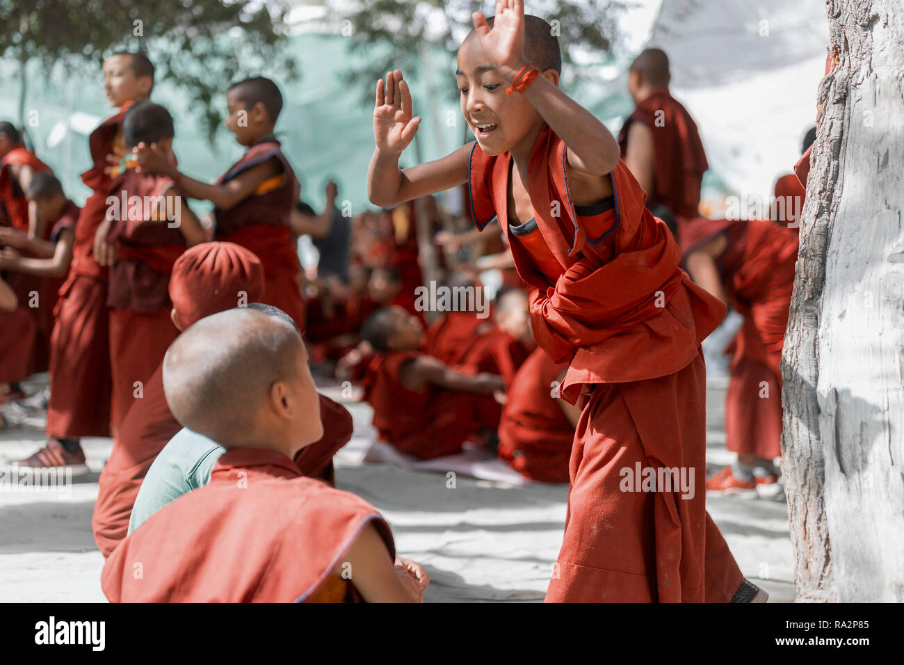 Young buddhist monks in a traditional debate at the Samstanling ...
