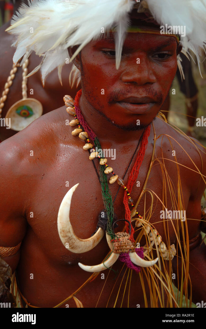 Colourfully dressed and face painted man with a feather head dress as ...