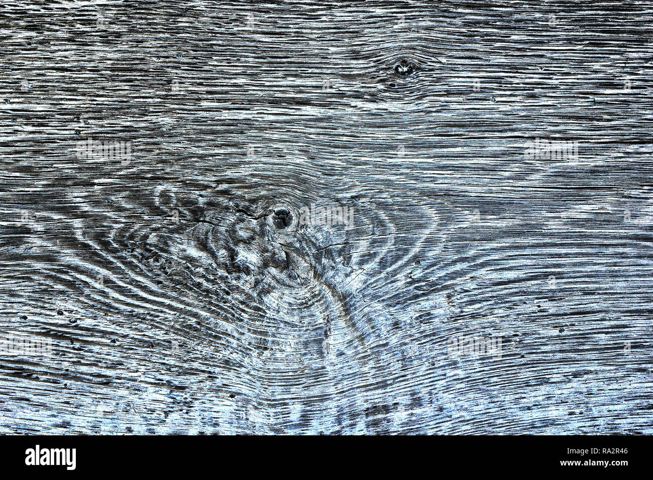 oak old wood texture ready for your design ( Quercus robur Stock Photo ...