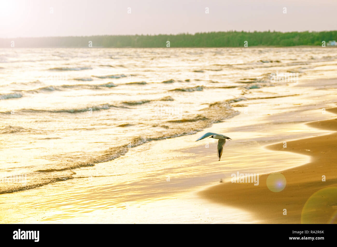 White gold golden pristine sand sandy beach bay hi-res stock ...