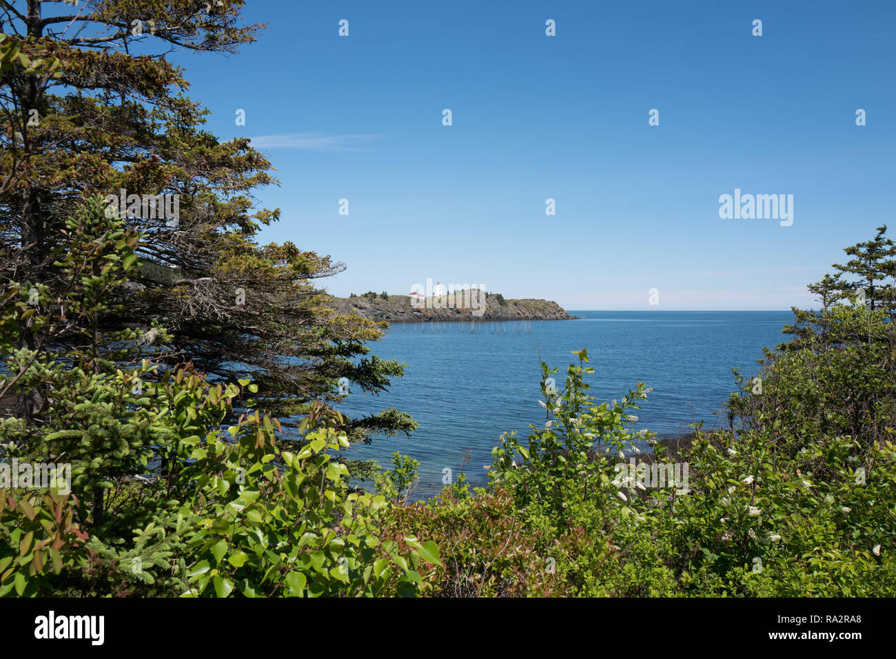 Grand manan is hi-res stock photography and images - Alamy