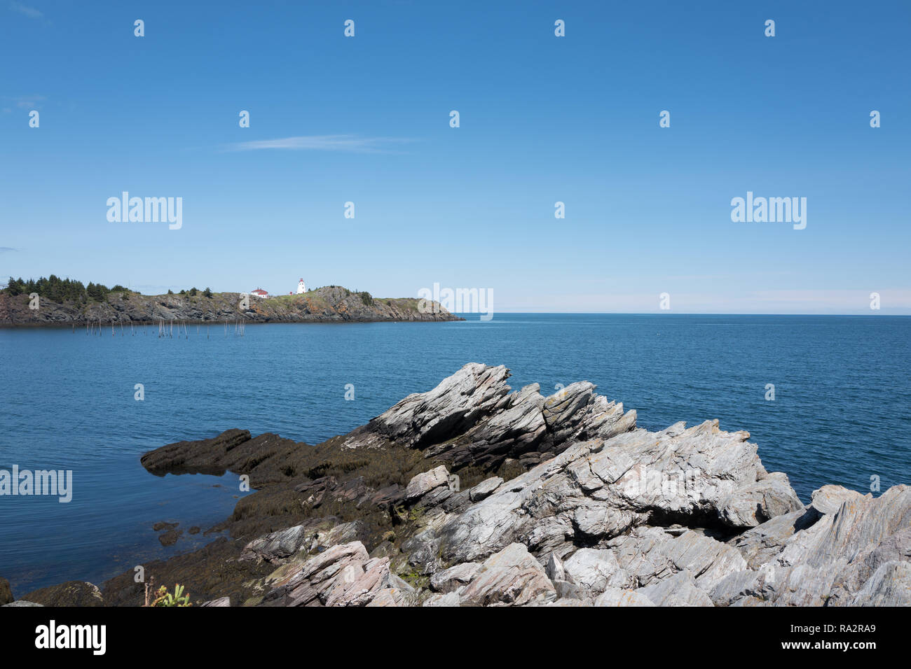 bay on grand manan new brunswick canada with blue sky and trees Stock Photo - Alamy