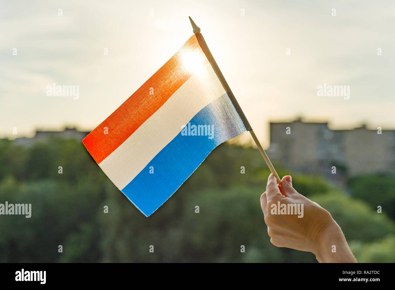 Hand holding Netherlands flag an open window. Background blue sky ...