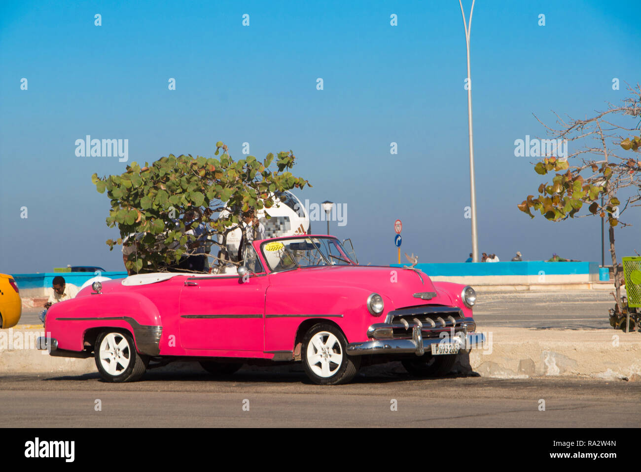 classic old vintage 1950s American chevrolet deluxe convertible car ...