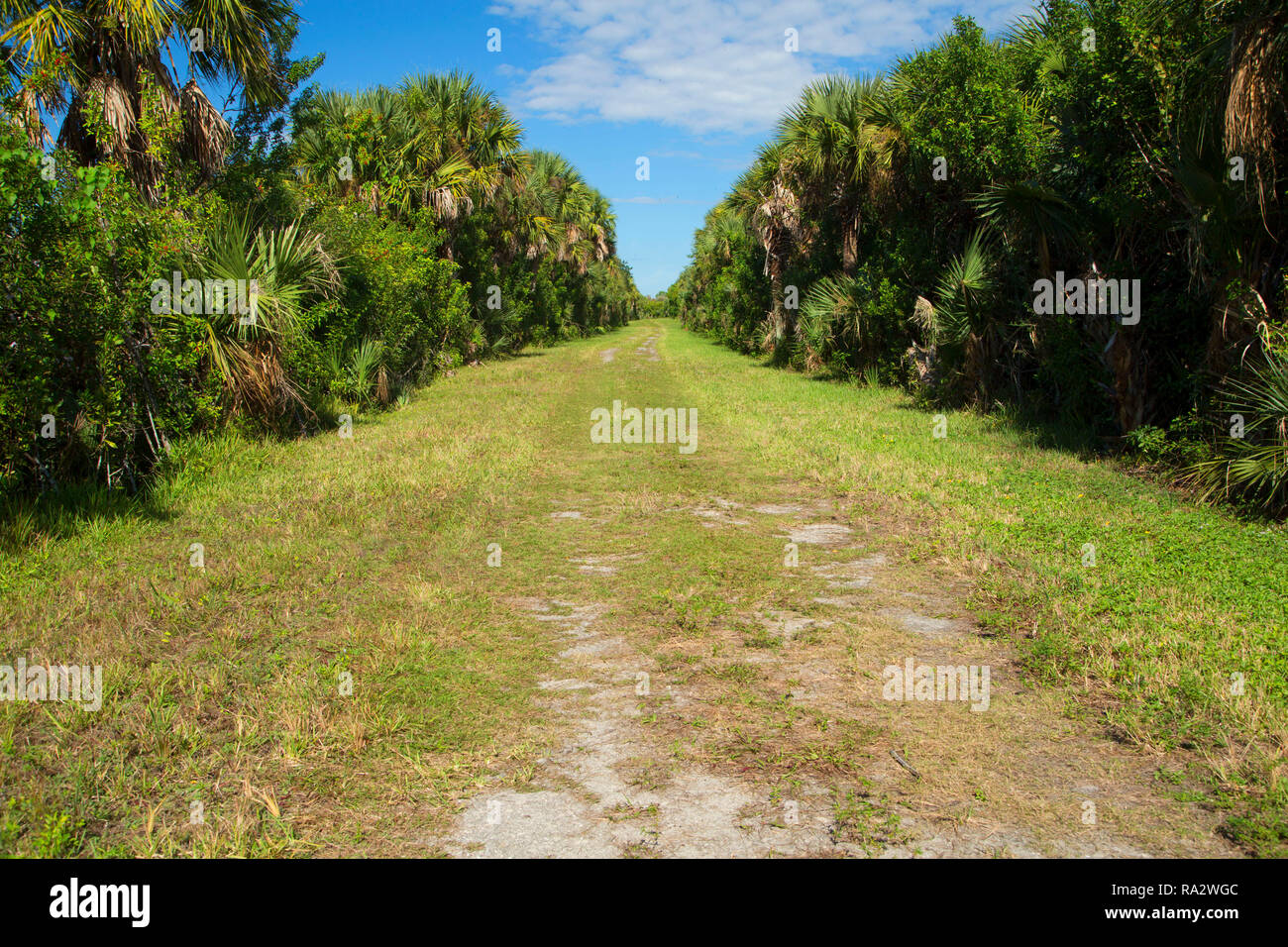 Swa trails hi-res stock photography and images - Alamy