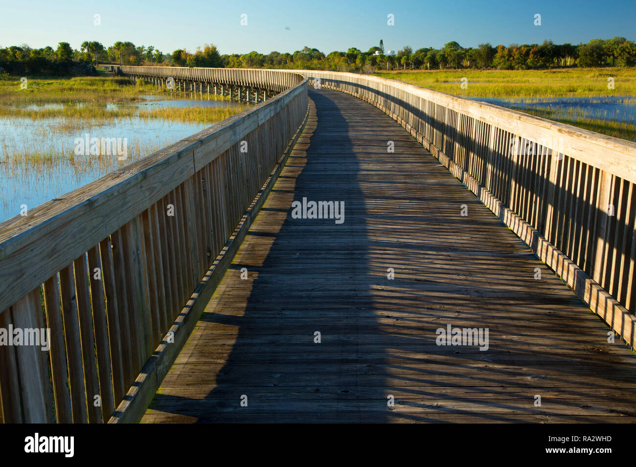 Boardwalk, Wellington Environmental Preserve at the Marjory Stoneman ...